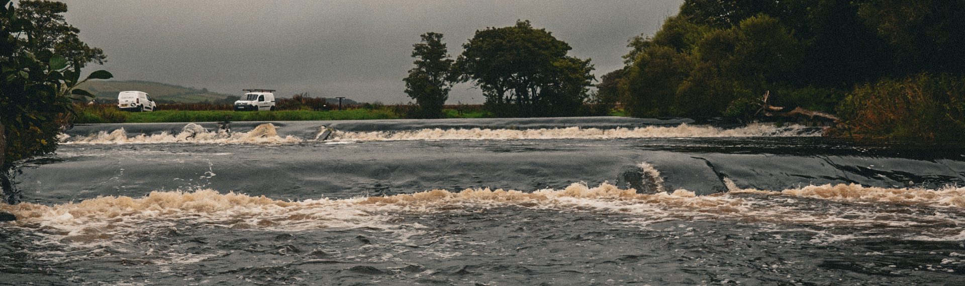 River Girvan District Salmon Fishery Board - Fishery Management
